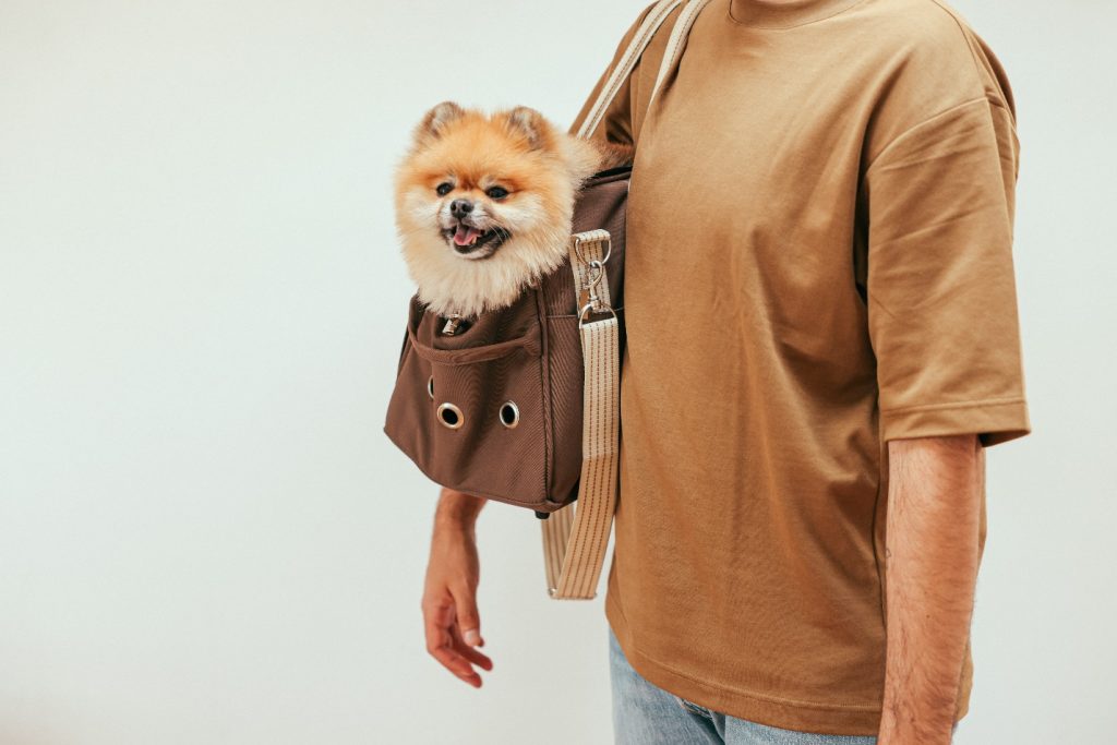 How To Travel With Pets And Find Pet Friendly Cabins In Branson MO Travel And Leisure how-to-travel-with-pets-and-find-pet-friendly-cabins-in-branson-mo-travel-and-leisure